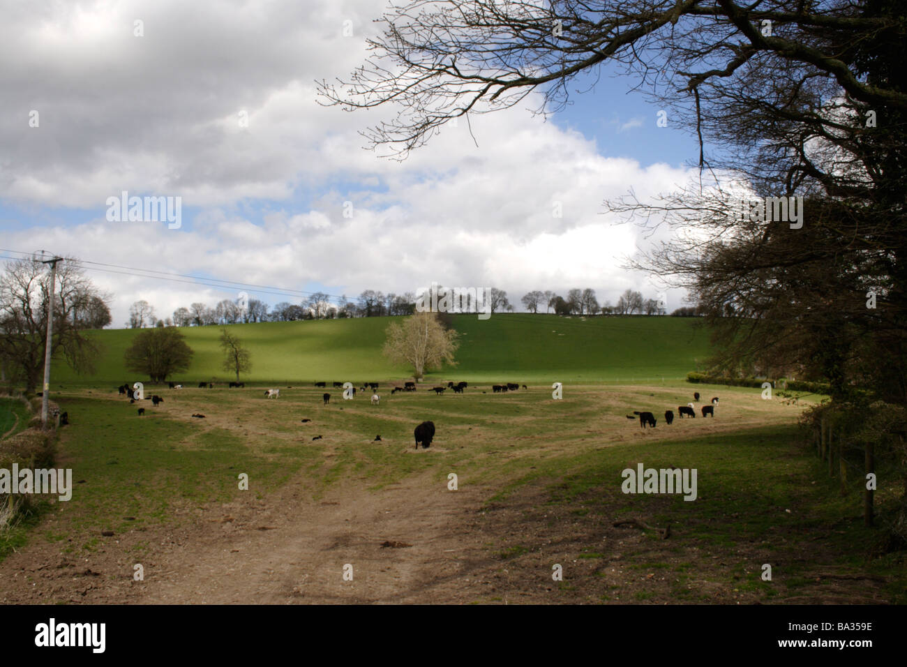 Chilterns hills spring hi-res stock photography and images - Alamy