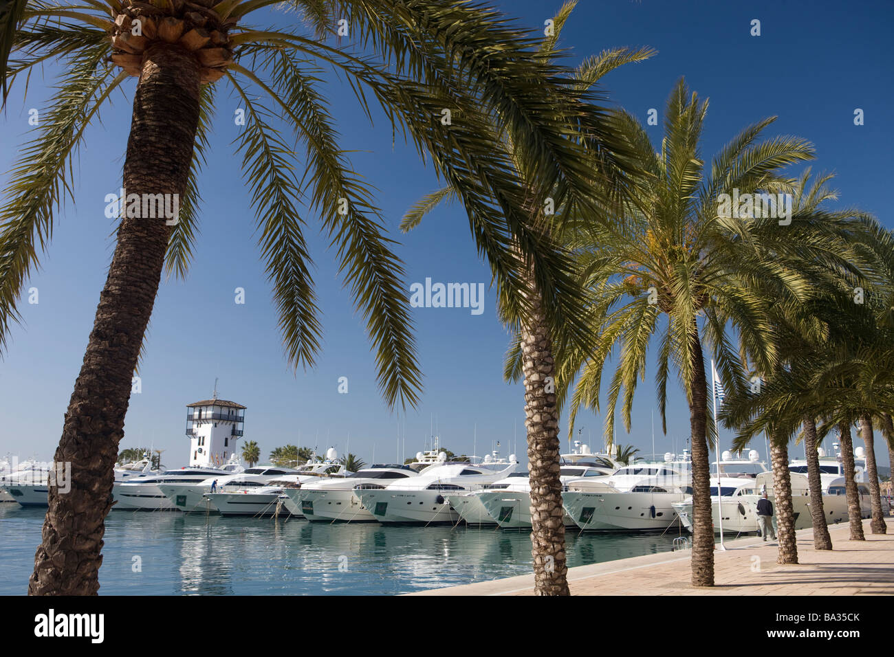 Puerto Portals Marina in Mallorca Spain Stock Photo - Alamy