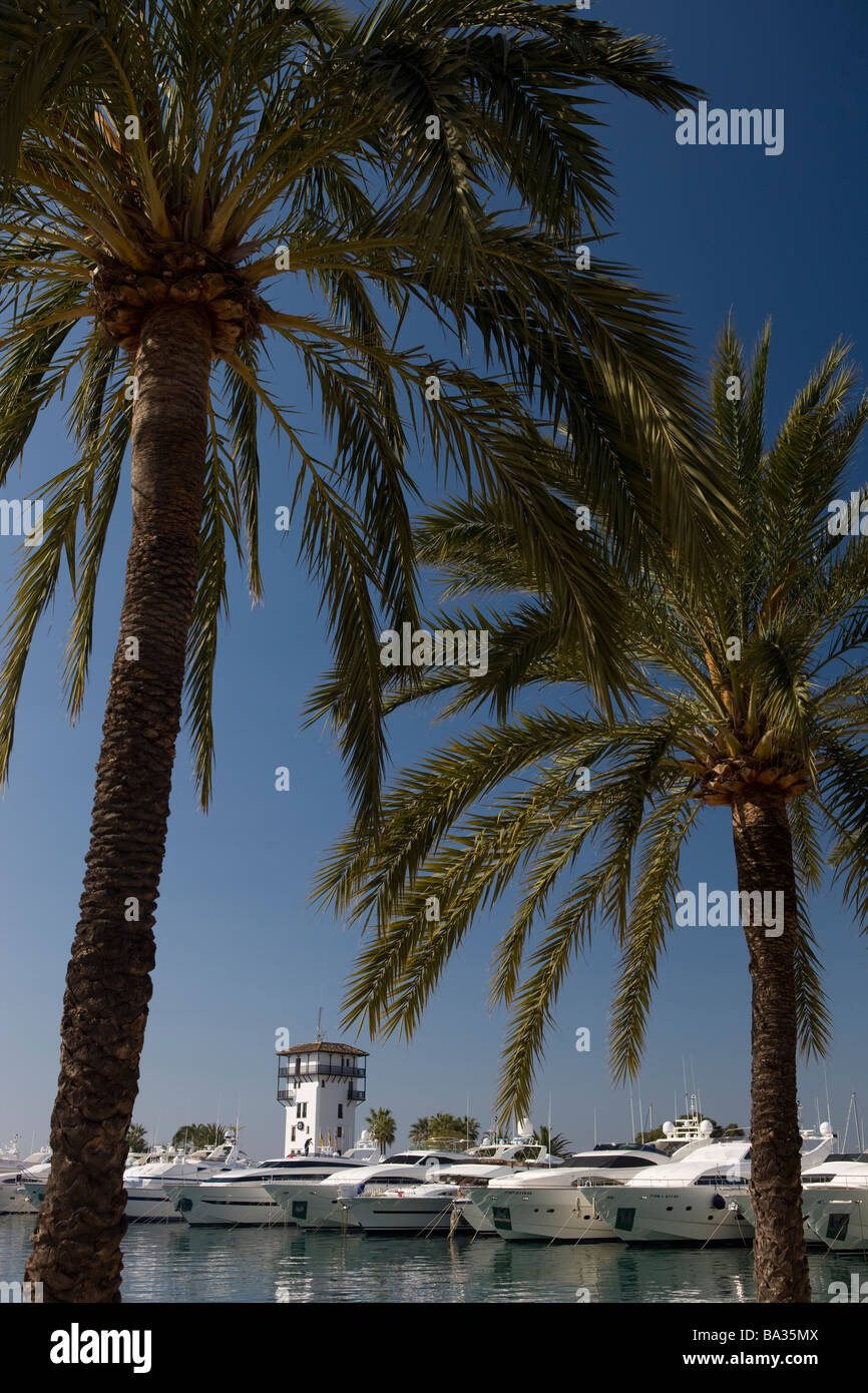 Puerto Portals Marina in Mallorca Spain Stock Photo - Alamy