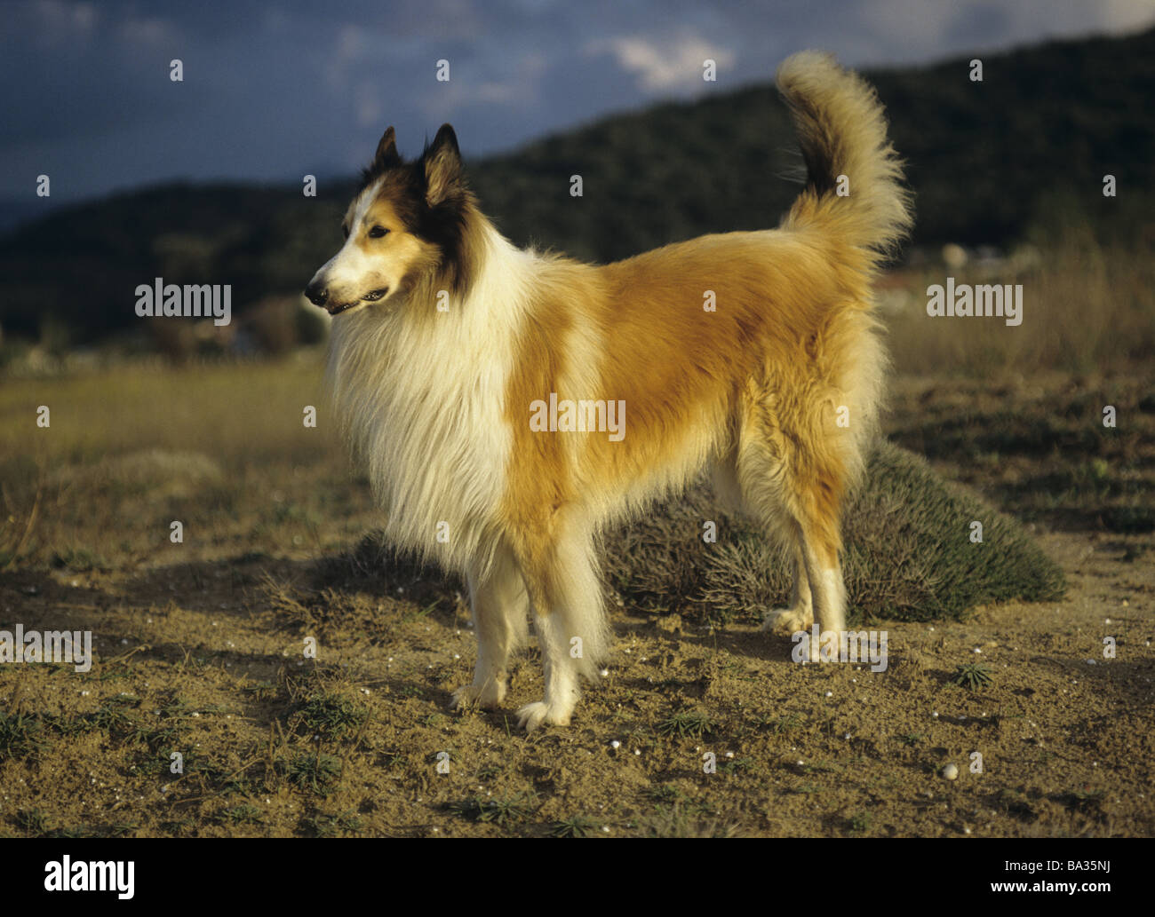 Decency hi-res stock photography and images - Alamy