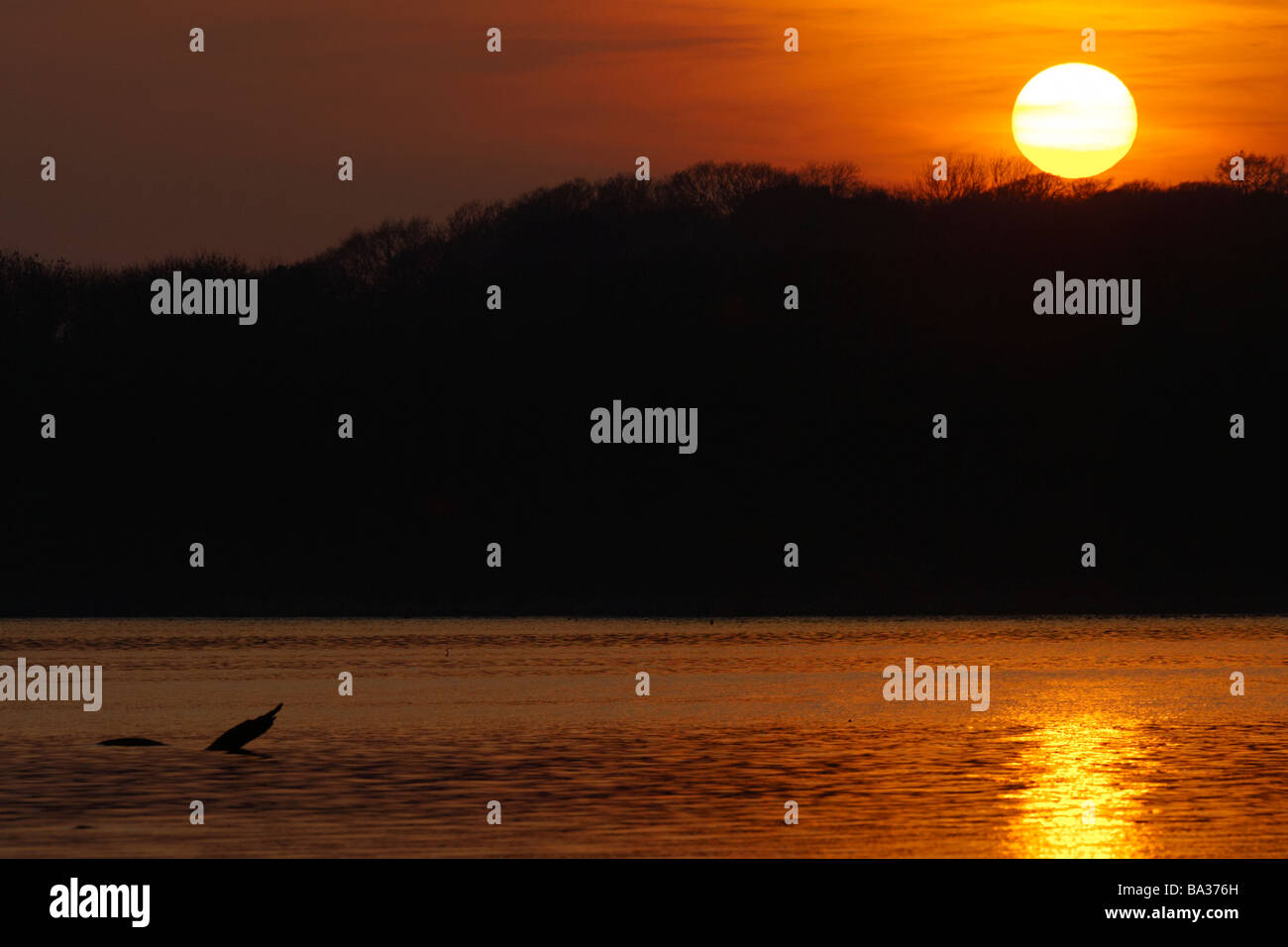 Landscape lough neagh hi-res stock photography and images - Alamy