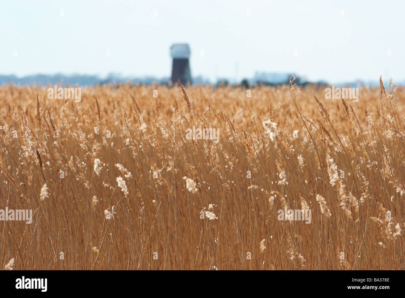 Lighting texture hi-res stock photography and images - Alamy