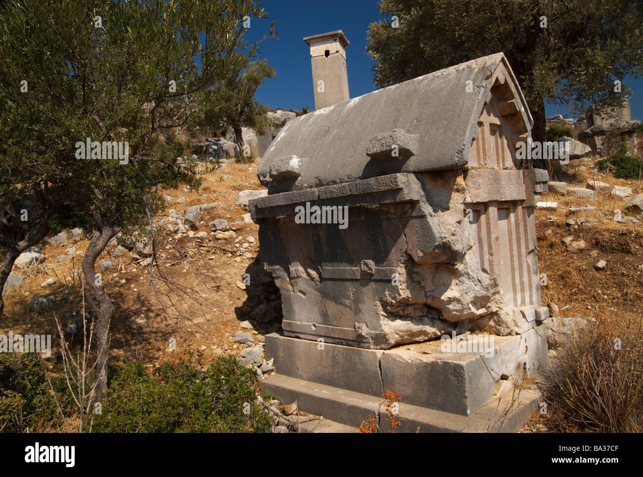 An ancient sarcophagus stone coffin rests in a grove of olive trees ...
