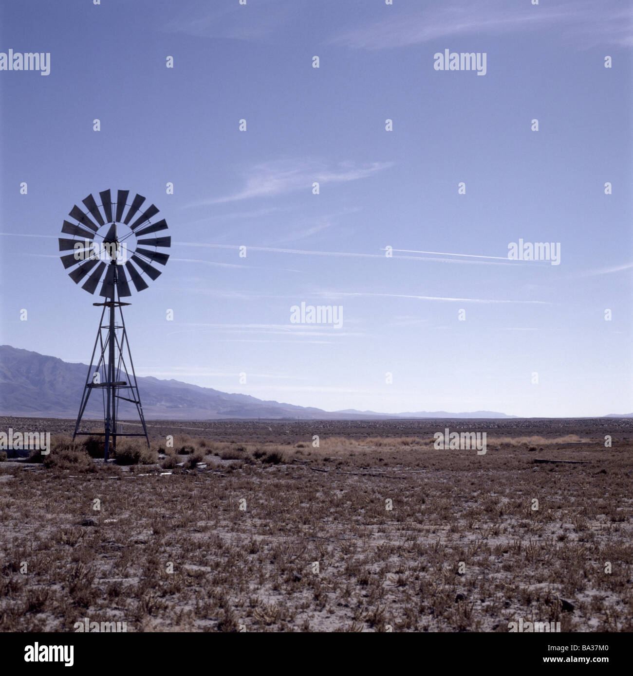 USA Nevada Black skirt Desert desert-landscape livestock-troughs wind ...