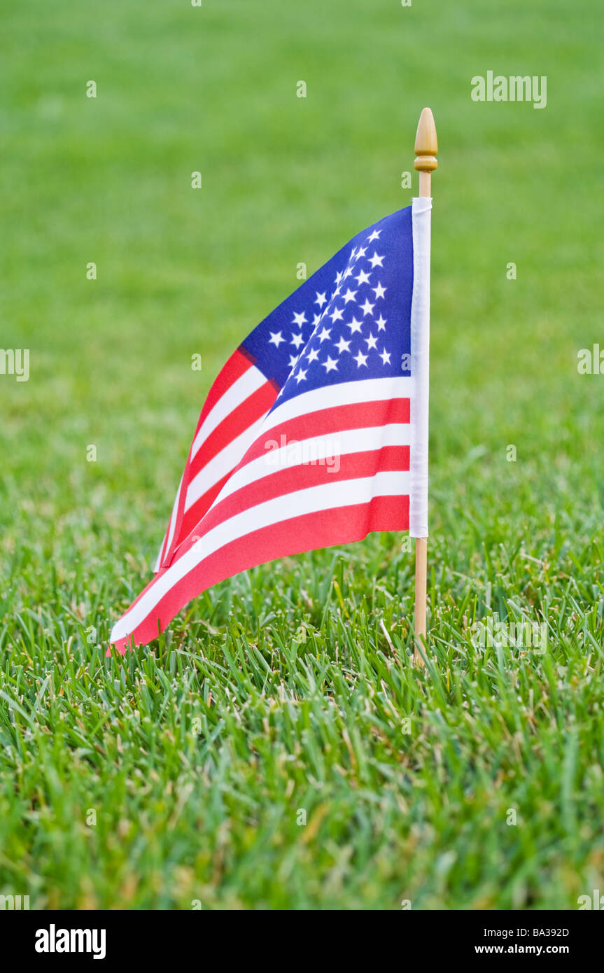 American flag in the grass Stock Photo - Alamy