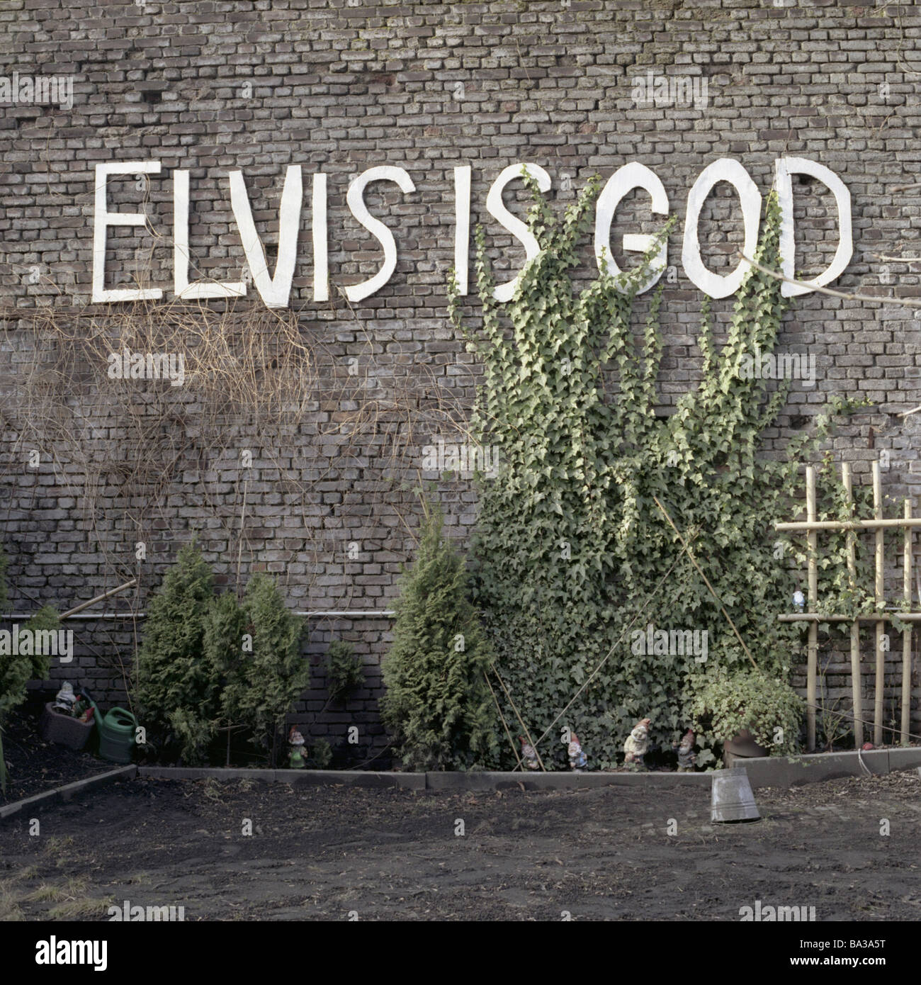 Garden brick-wall stroke "Elvis is god" wall brick-wall bed plants ...