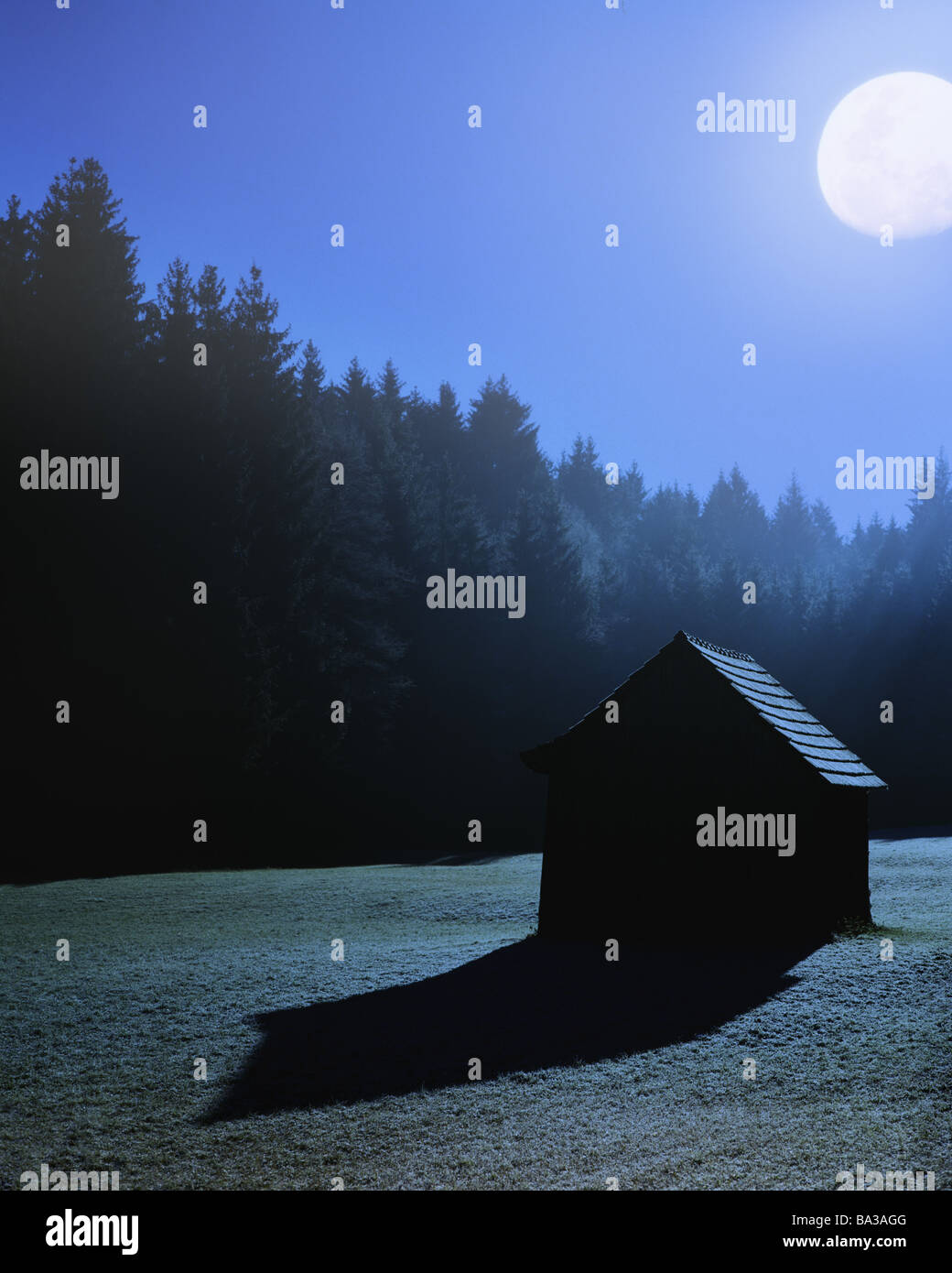 Moonlight book cover hi-res stock photography and images - Alamy