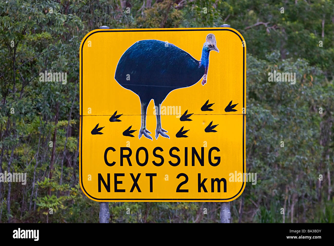 Cassowary crossing unusual roadsign sign danger Queensland australia ...