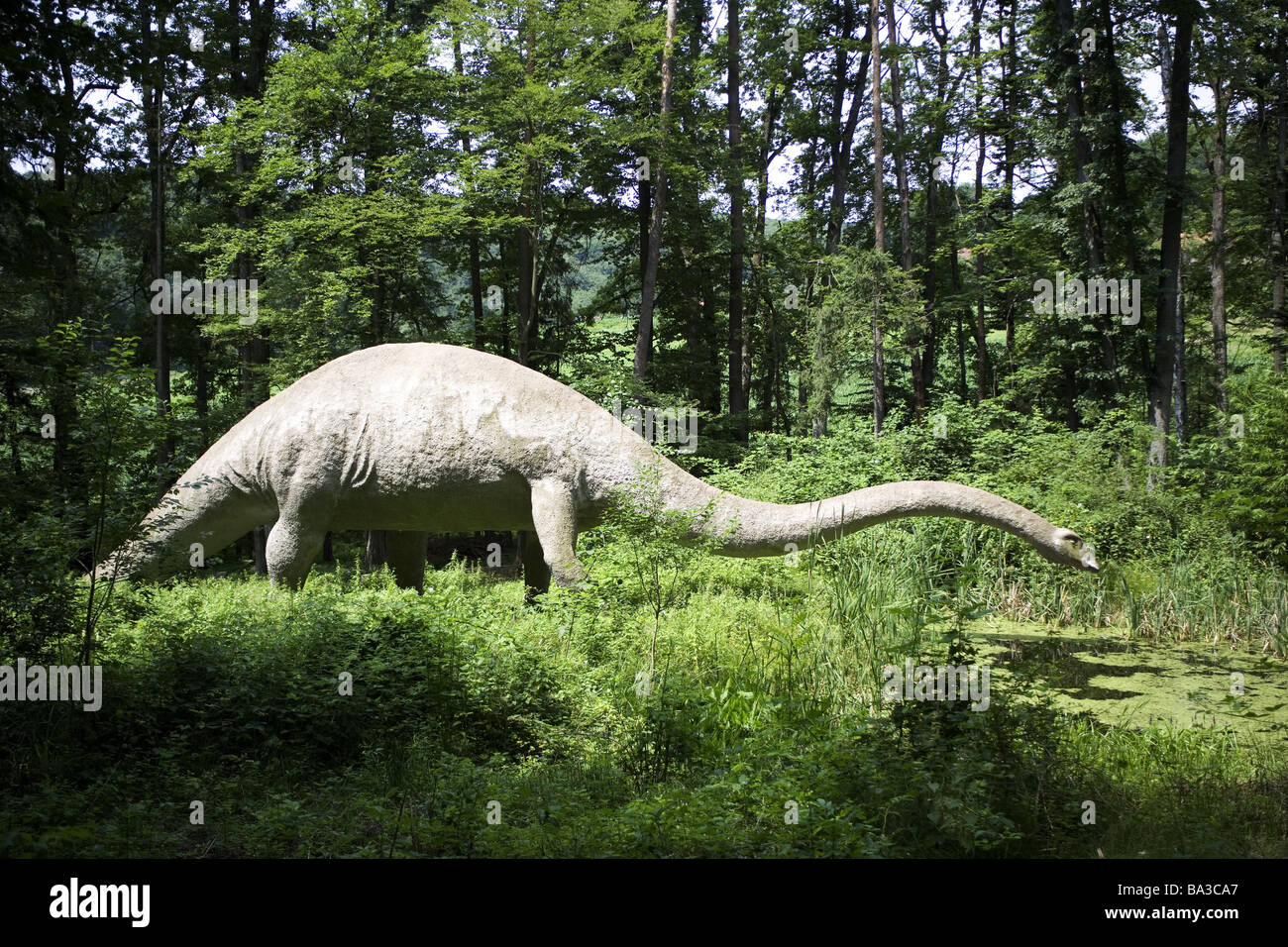 Apatosaurus hi-res stock photography and images - Alamy
