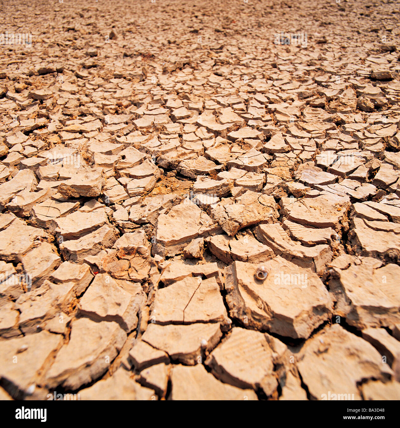 Dried lake bed at dam Stock Photo - Alamy