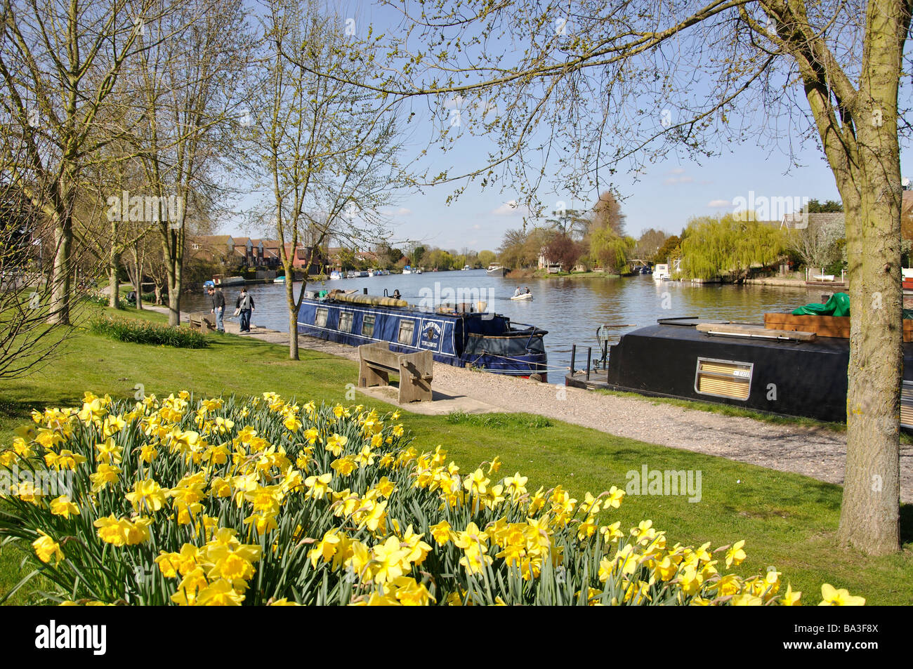 Riverside path in spring, River Thames, Old Windsor, Berkshire, England ...