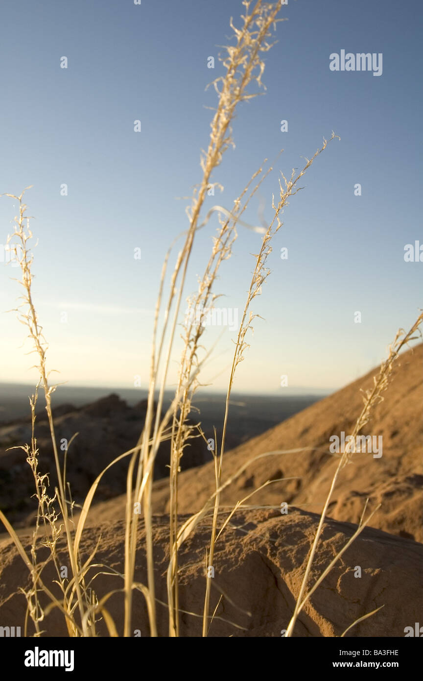 USA South Dakota Badlands mountains grass detail North America Badlands ...