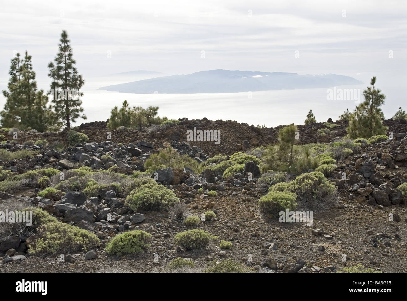 Spain Canaries island Tenerife Parque Nacional Del Teide volcano ...