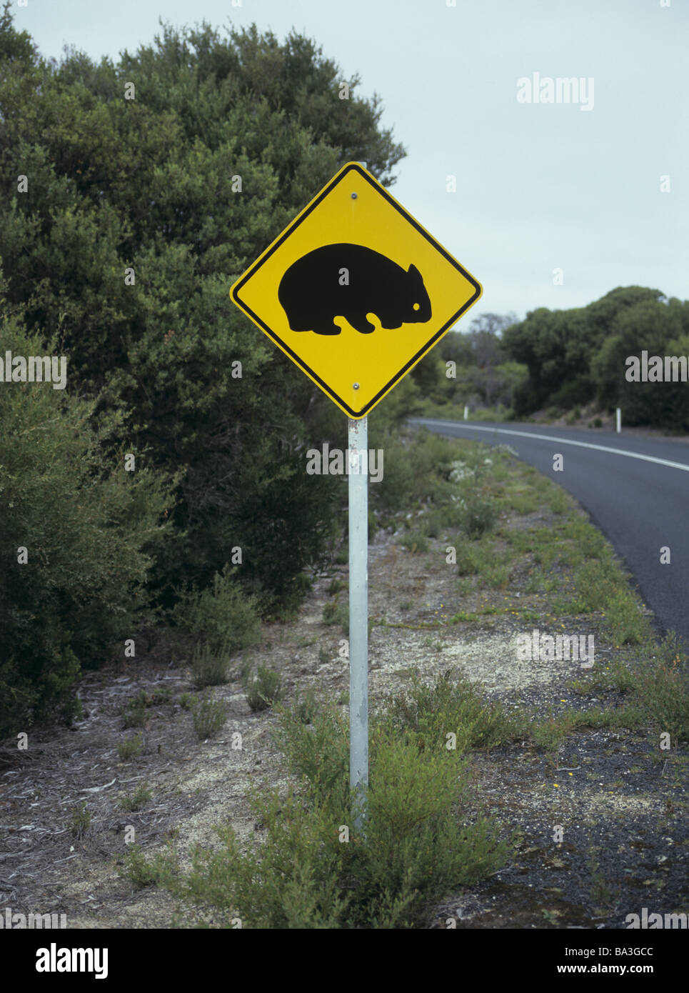 Australia road signs animal animals hi-res stock photography and images ...