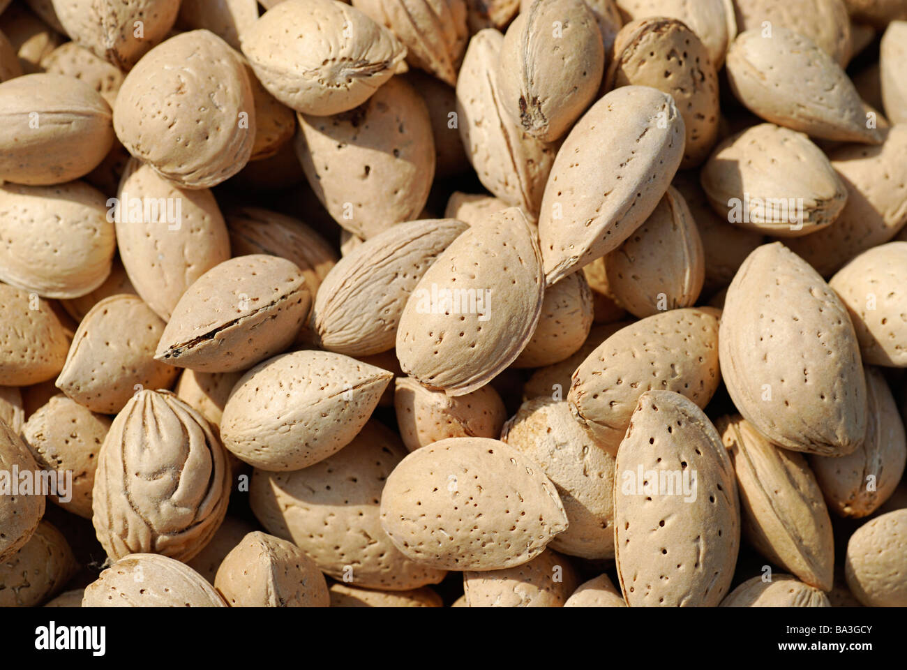 Almond almonds foodstuff shells hi-res stock photography and images - Alamy