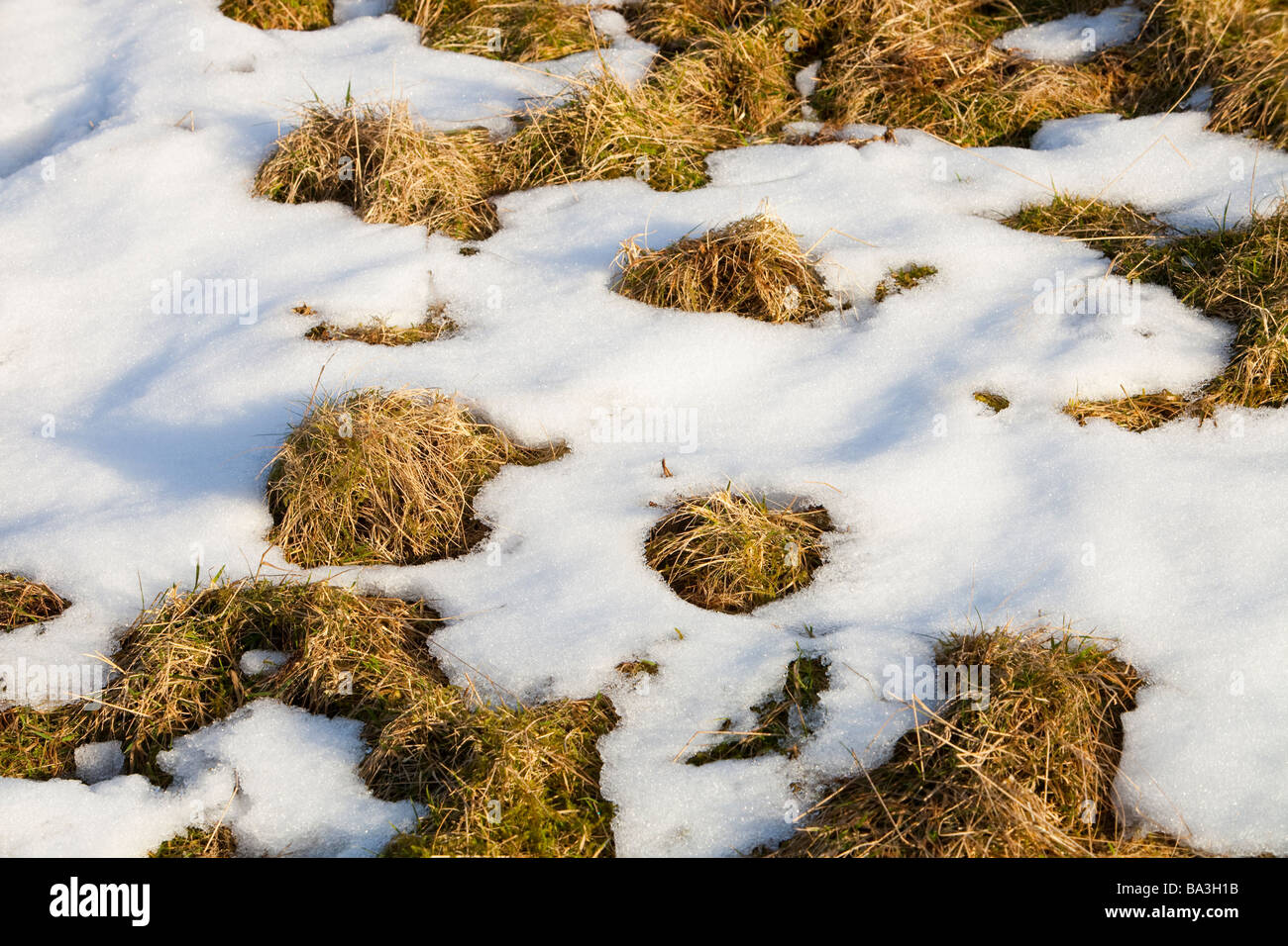 Spring snowmelt hi-res stock photography and images - Alamy