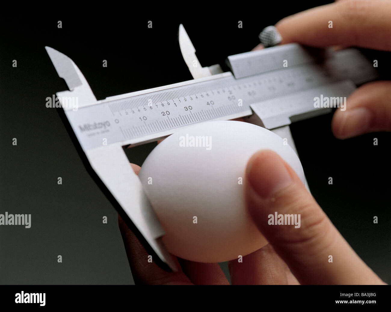 Close up people measuring length egg hi-res stock photography and ...