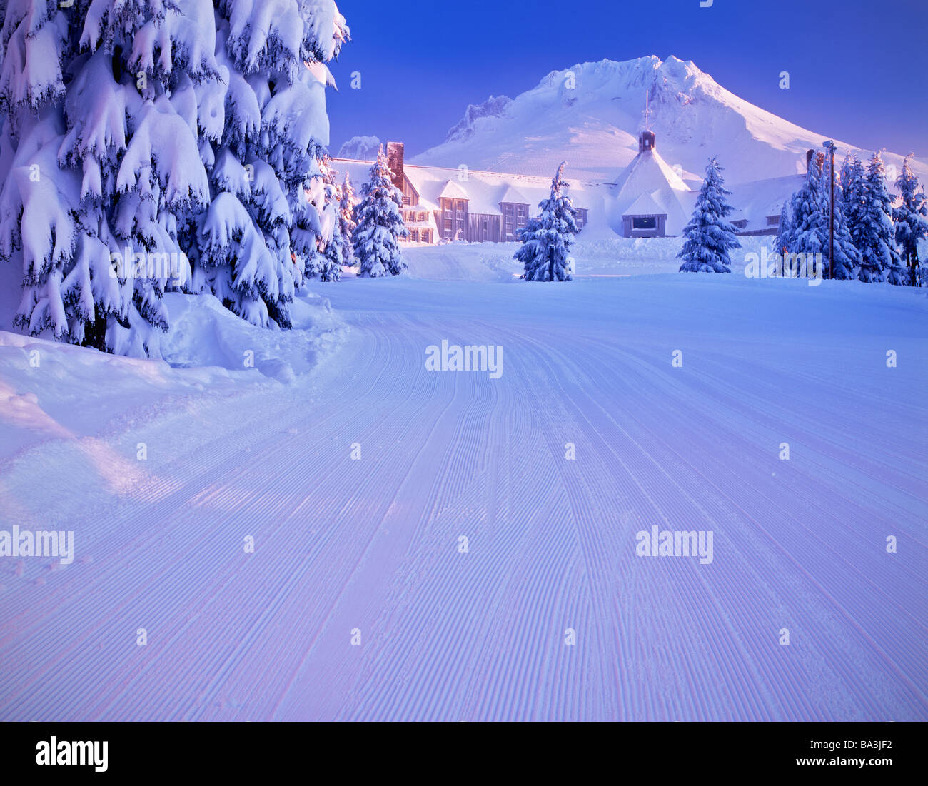 Timberline Lodge Resort Group