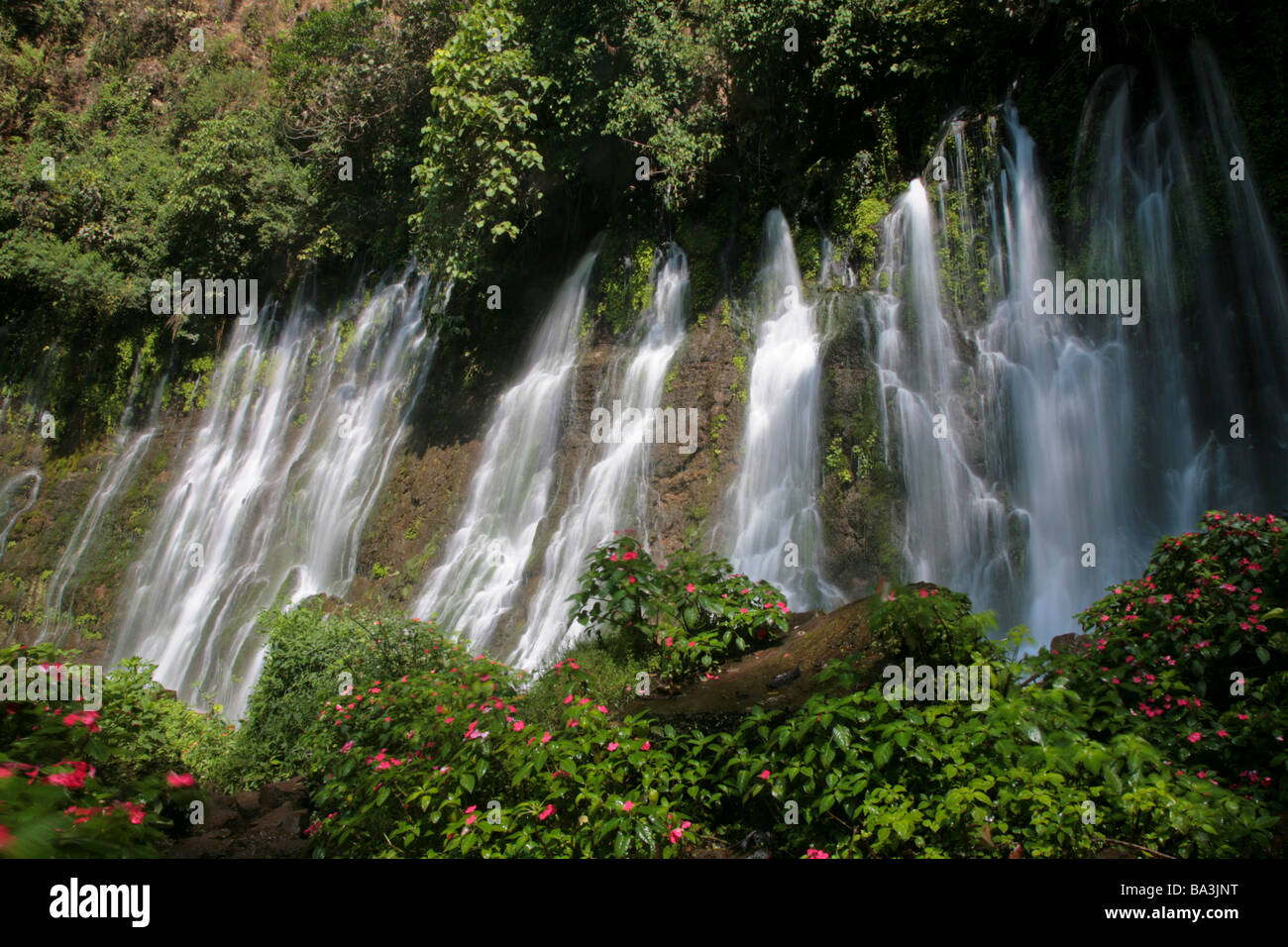 Waterfalls and flowers Stock Photo - Alamy