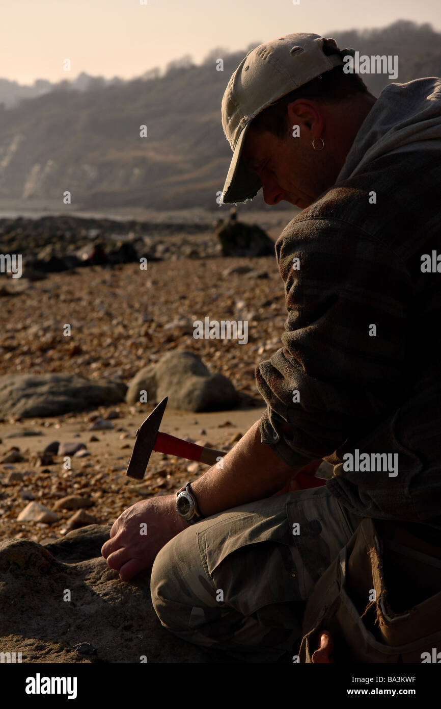 Professional fossil hunter hi-res stock photography and images - Alamy