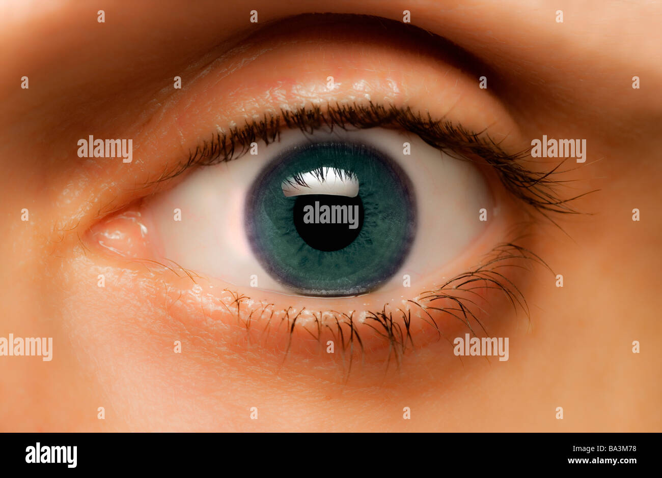 Blue eye hi-res stock photography and images - Alamy