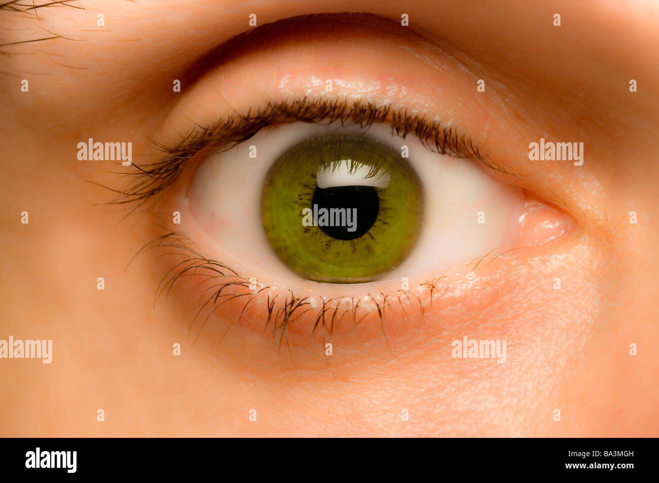 Green eye hi-res stock photography and images - Alamy