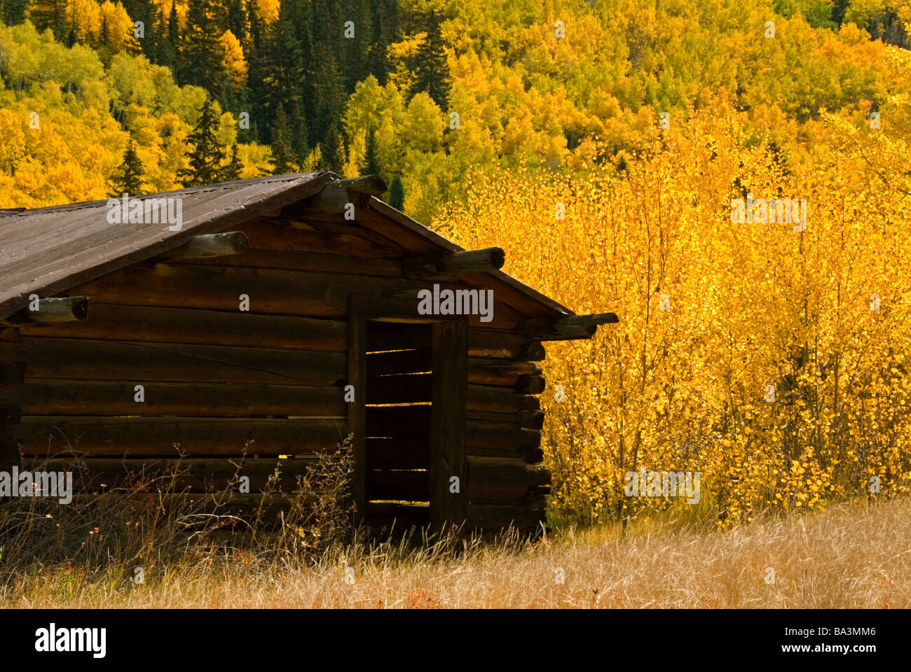Mountain Landscape Mining Town Ghost Town Abandoned Cabin Rustic ...