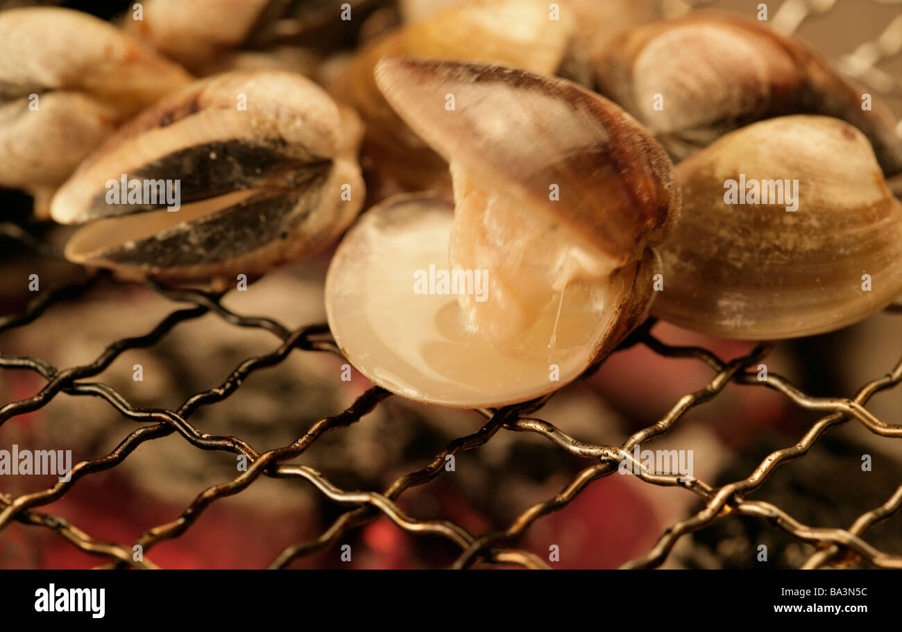 Grilled clams over charcoal fire Stock Photo - Alamy