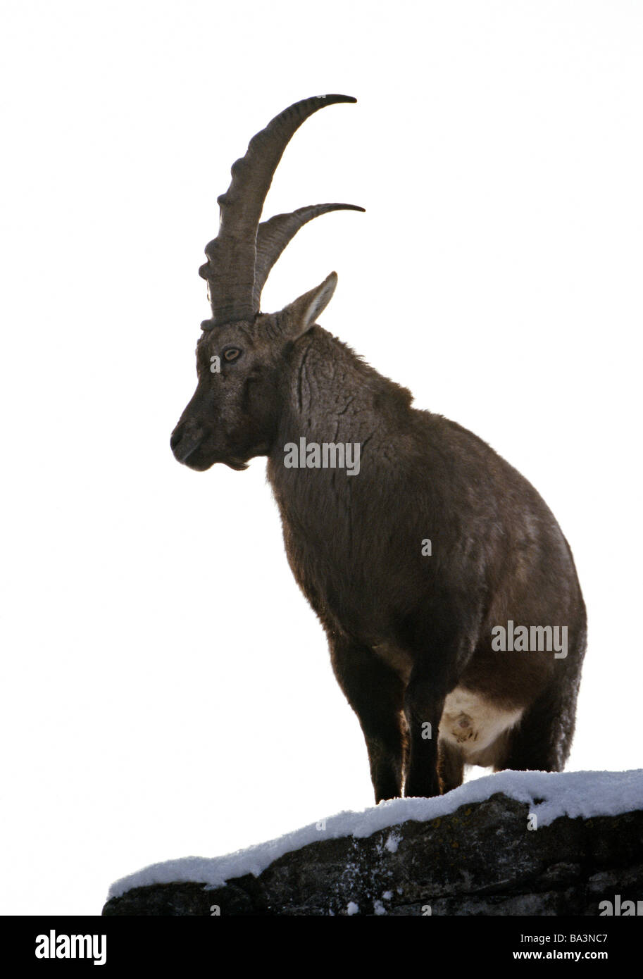 Rock cut out hi-res stock photography and images - Alamy