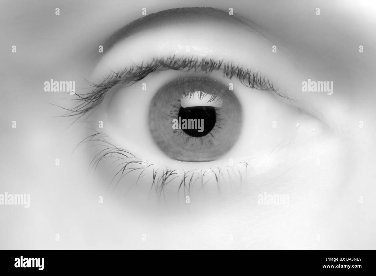 His eye hi-res stock photography and images - Alamy