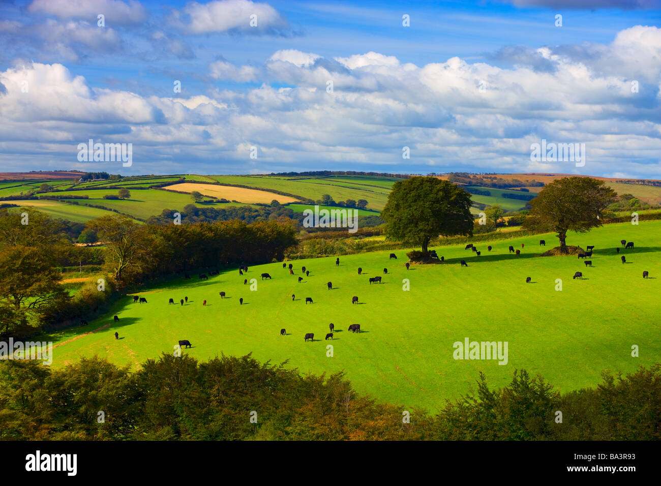 Exmoor national park hi-res stock photography and images - Alamy
