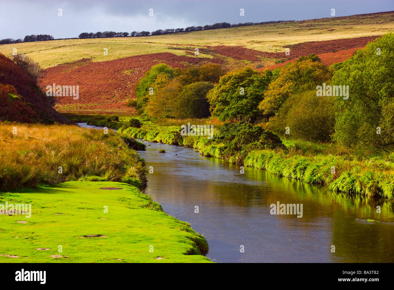 River Barle at Landacre Bridge Exmoor Devon England Stock Photo - Alamy