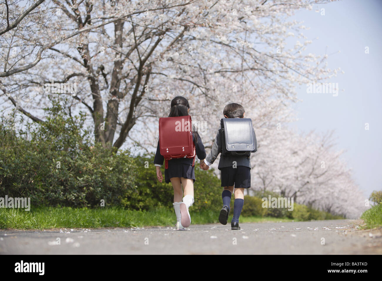 Schoolmate holding hands and going to school Stock Photo - Alamy