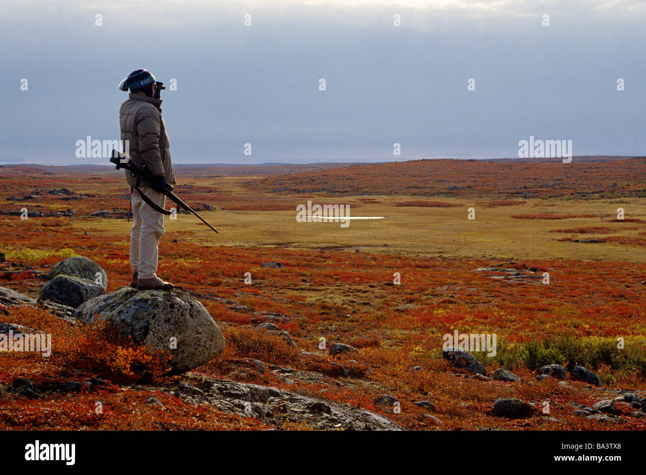 Wood tikchik tundra hi-res stock photography and images - Alamy