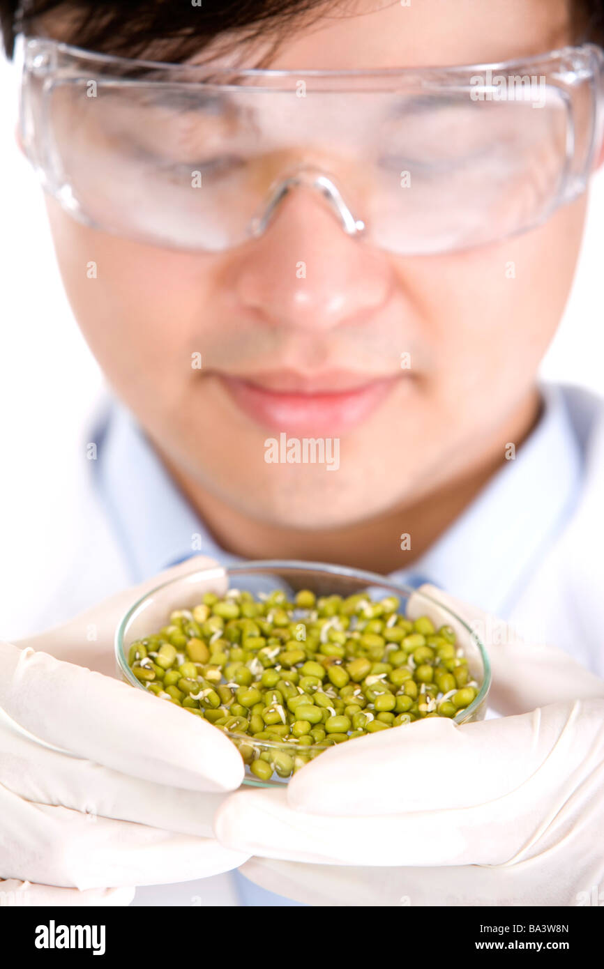 Male scientist holding petri dish full of beans Stock Photo - Alamy
