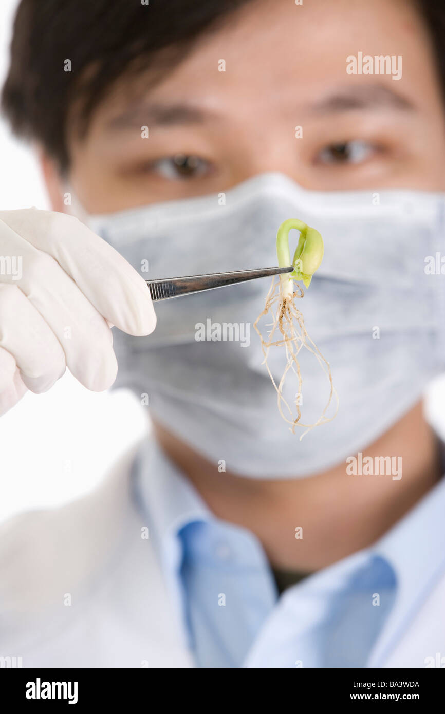 Man holding seed in tweezers Stock Photo - Alamy