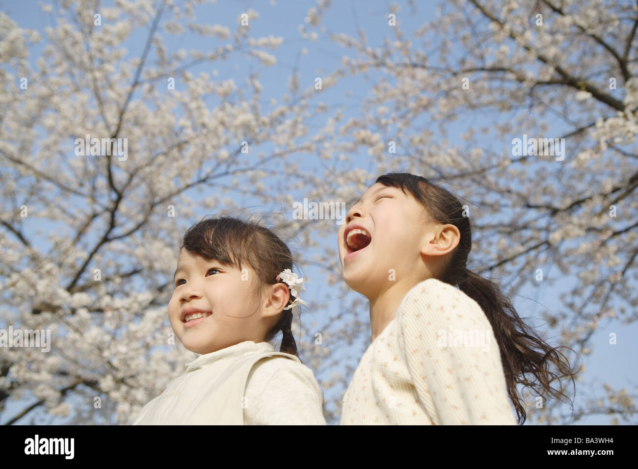 Two Japanese sisters smiling and laughing Stock Photo - Alamy