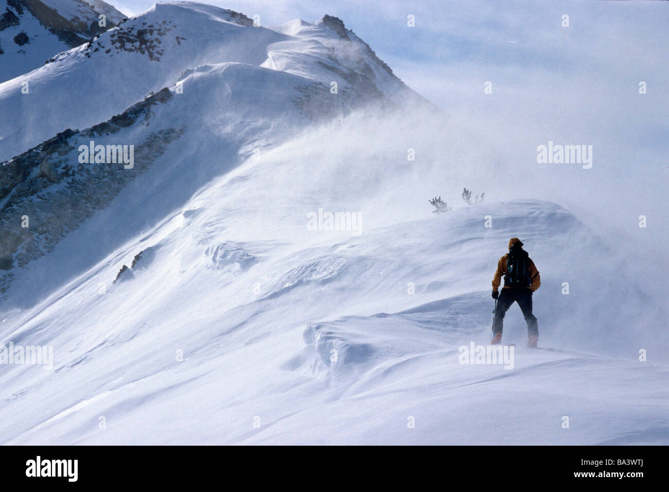 Back Country Skier Climbing Ridge In Blizzard Conditions Chugach Mtns ...