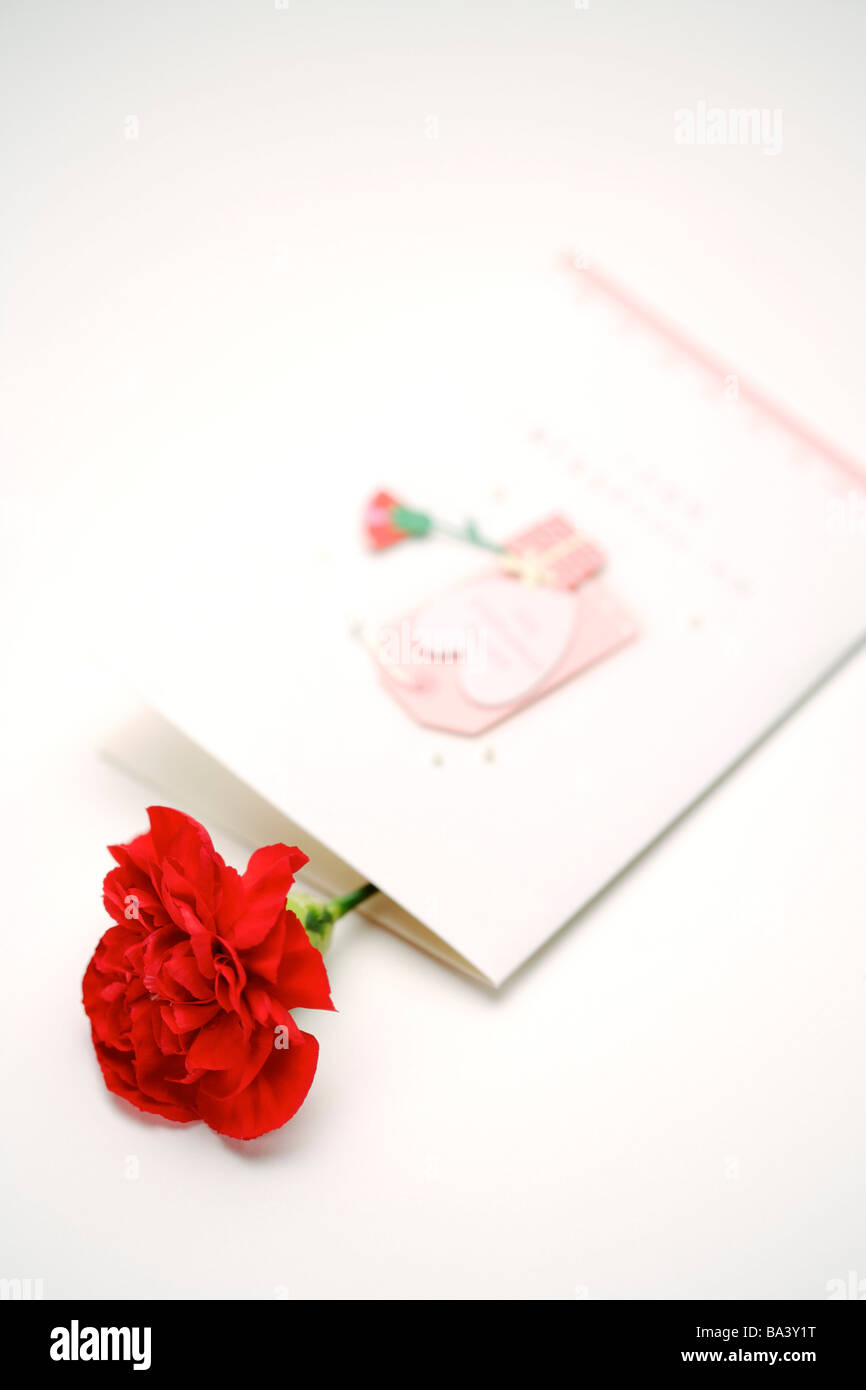 Single carnation and card Stock Photo - Alamy