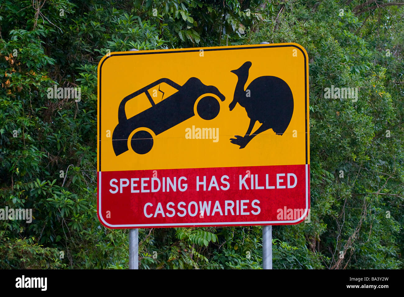 Cassowary sign hi-res stock photography and images - Alamy