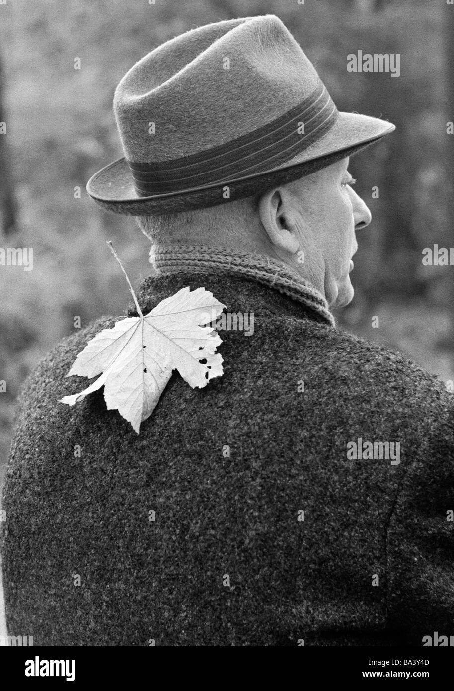 Man up tree 1970 hi-res stock photography and images - Alamy