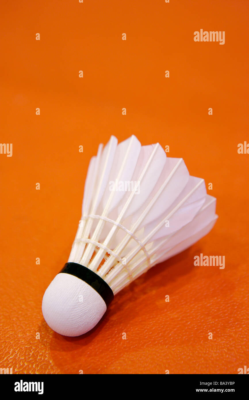 Shuttlecock on badminton court Stock Photo - Alamy