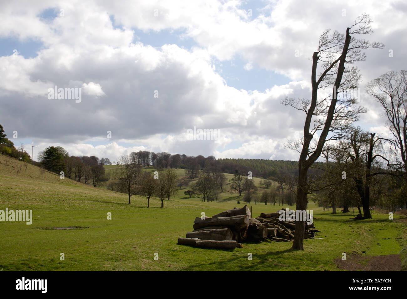 Chiltern Hills Buckinghamshire Stock Photo - Alamy