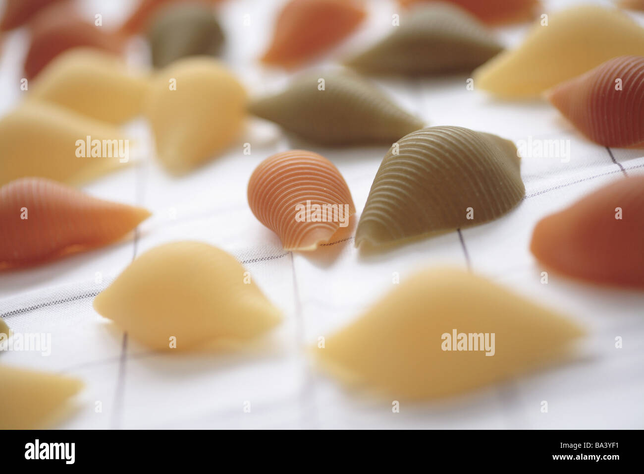 Pasta noodles colors different roughly noodle mussel-noodles ...