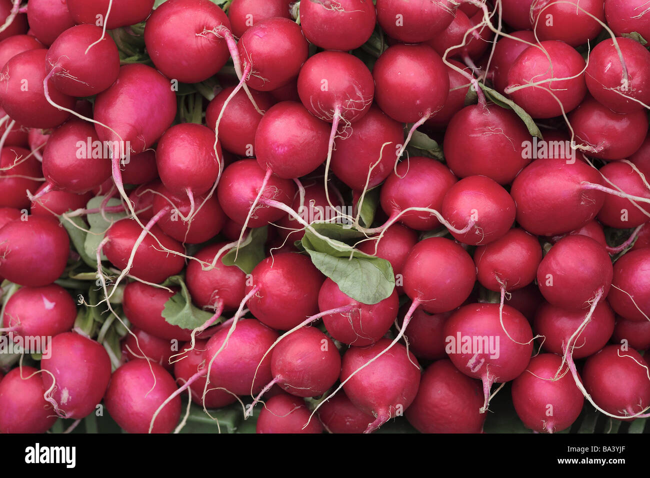 Bebundelt hi-res stock photography and images - Alamy