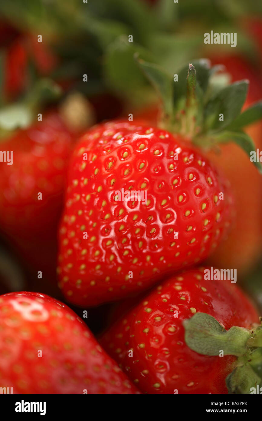 Strawberries fruits berries collective-nut-fruits red newly harvest ...