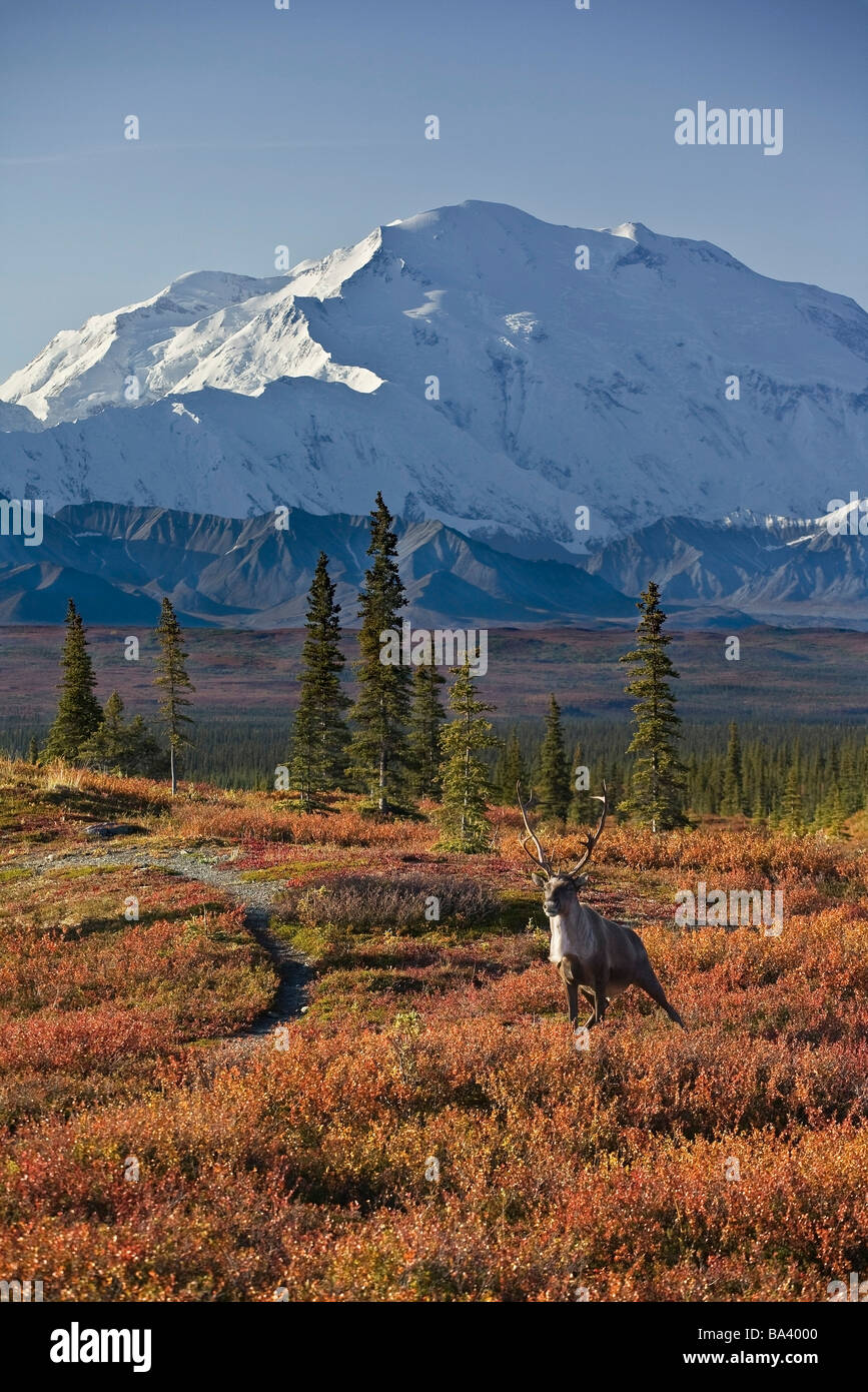 Mckinley Mount Denali National Park September