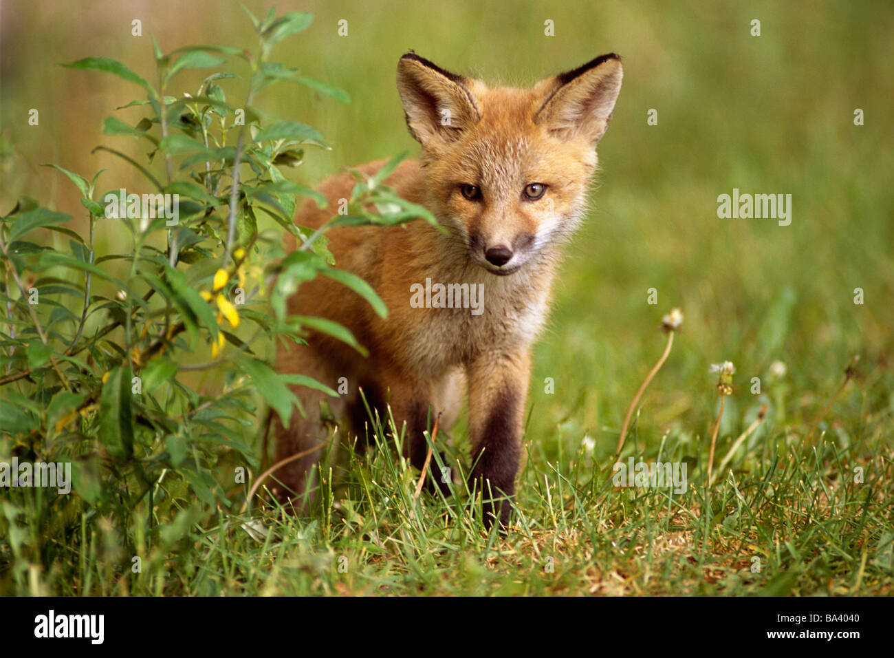 Airforce base hi-res stock photography and images - Alamy