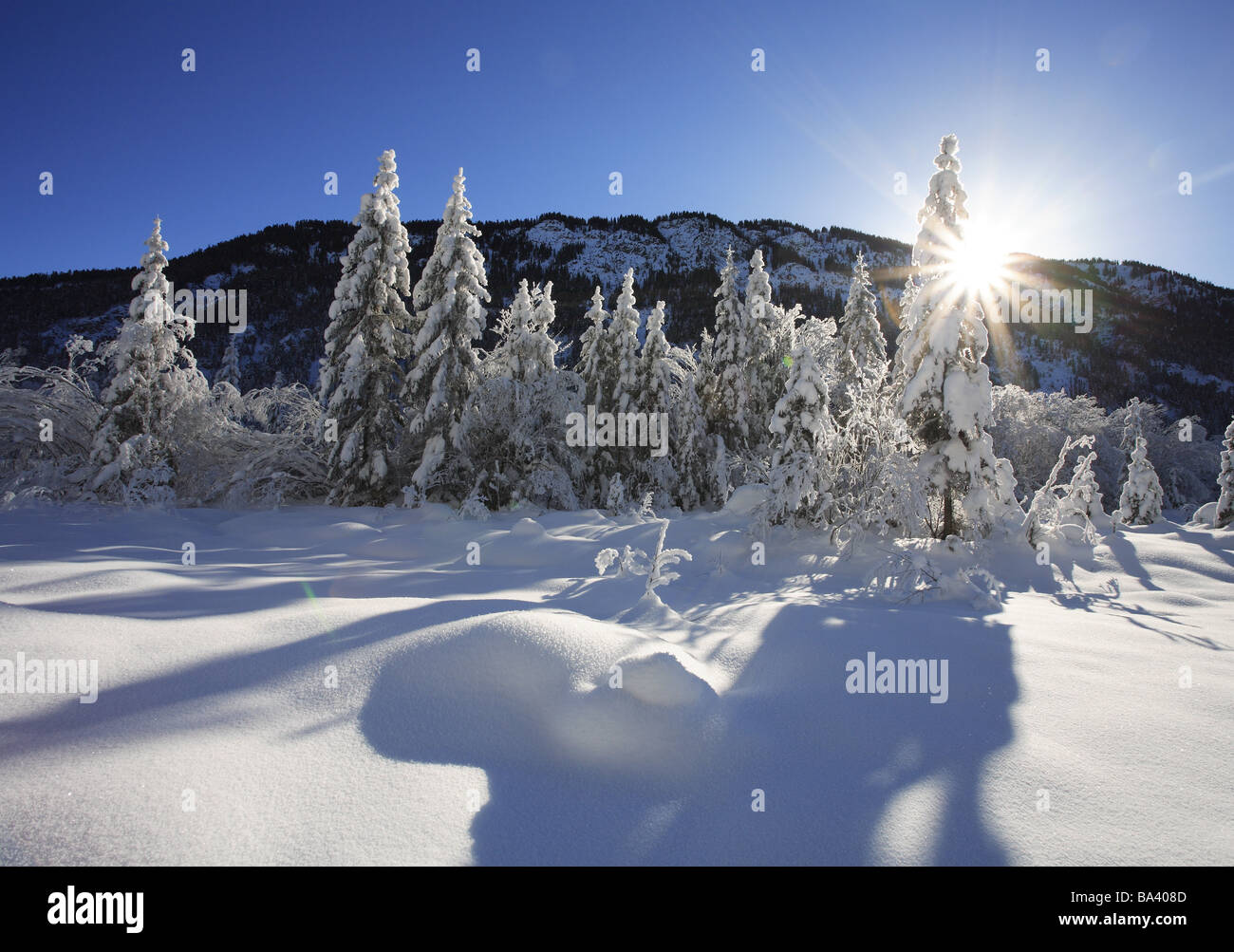 Fore tore hi-res stock photography and images - Alamy