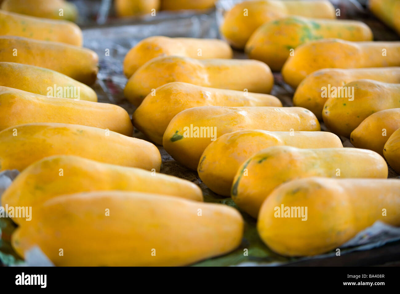 Row mangoes hi-res stock photography and images - Alamy